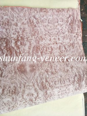 Madrone Burl Paper Backed Veneer Sheets Paper Back Madrone Burl Veneer supplier