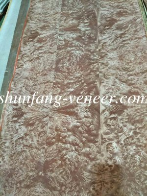 Madrone Burl Paper Backed Veneer Sheets Paper Back Madrone Burl Veneer supplier