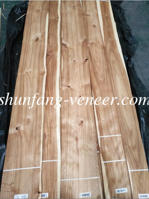 Acacia Natural Wood Veneer Knotty Acacia Exotic Wood Veneers for Furniture Doors & Veneered Plywood supplier