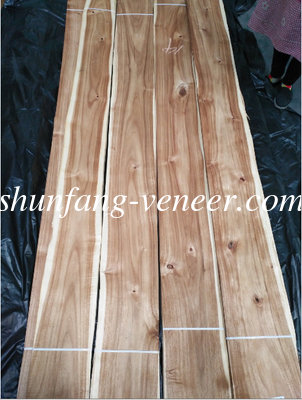 Acacia Natural Wood Veneer Knotty Acacia Exotic Wood Veneers for Furniture Doors & Veneered Plywood supplier