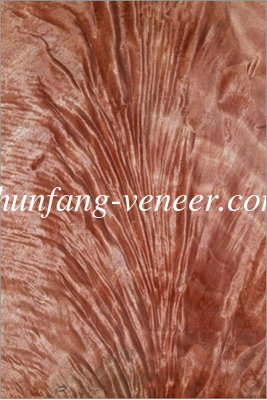 Okoume Crotch Veneer Okoume Crotch Wood Veneer for Furniture Doors Cabinetry & Veneered Plywood supplier