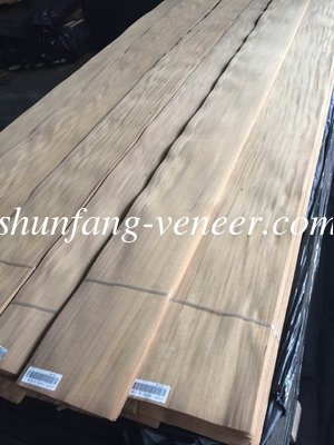 Afrormosia Veneer African Teak Natural Wood Veneers for Furniture Doors Plywood and Interior Decor supplier