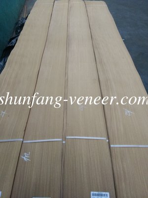 Afrormosia Veneer African Teak Natural Wood Veneers for Furniture Doors Plywood and Interior Decor supplier