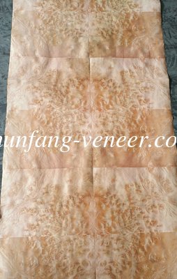 Golden Camphor Burl Paper Backed Veneer Sheets 4' x 8' supplier