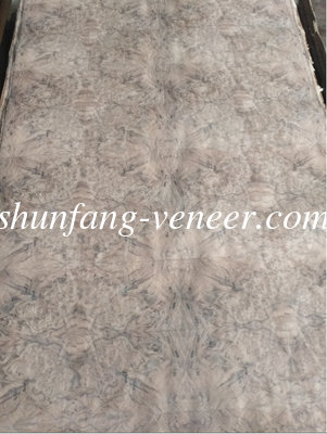 Walnut Burl Paper Backed Veneer | Paper Backed Walnut Burr Veneer Sheets supplier