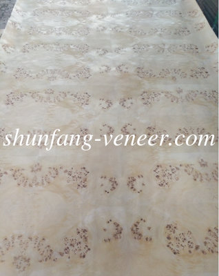 Mappa Burl Paper Backed Veneer | Paper Backed Poplar Burl Veneer Sheets supplier