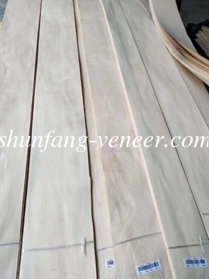 Birch Veneer Birch Sliced Veneer White Birch Natural Wood Veneer for Plywood Hotel Furniture Veneer Doors Custom Cabinet supplier