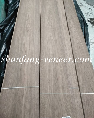 Black Walnut Natural Wood Veneer, Crown in 0.50mm Thickness from Shunfang Veneer supplier