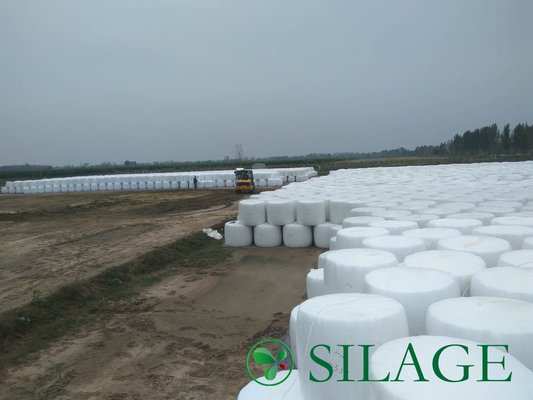 Quality White Color Silage Wrap Film