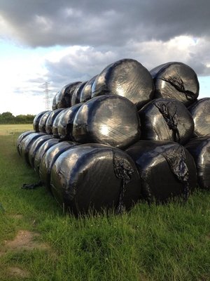 Good Quality Black Silage Wrap Film