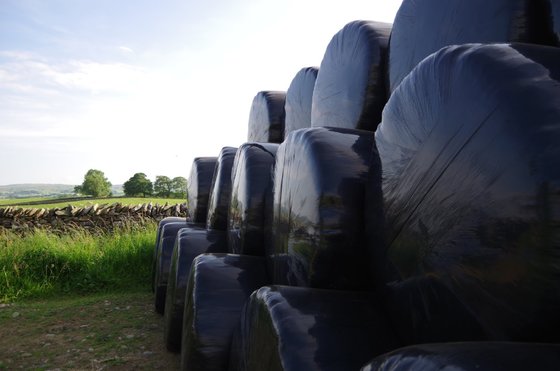 Good Quality Black Silage Wrap Film
