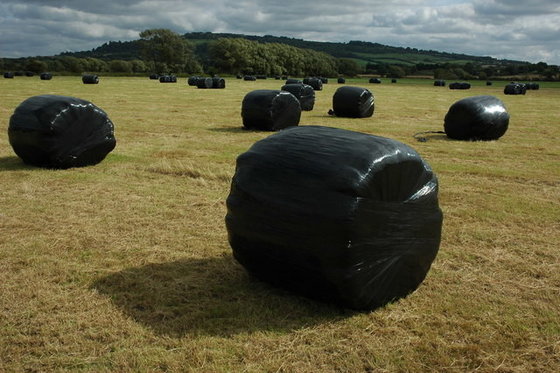 Black Color Silage Film for UK