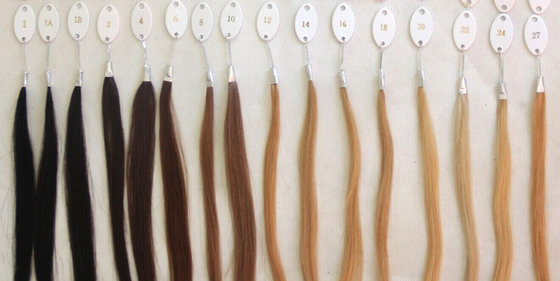 20 CM Hair Color Wheel / Colour Ring, 8" 32 Popular Colors Human Hair Color Wheel / Colour Ring For Sale supplier