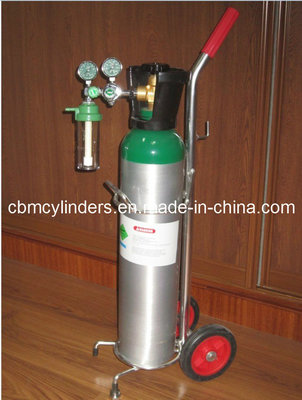 Bag-Type Aluminum Oxygen Supply System (2.5L Set)