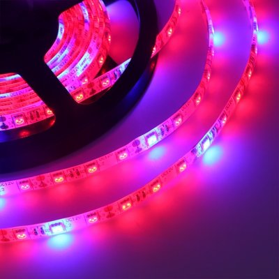 Full Spectrum Plant Grow Led Grow Lights 12V 5050 300 Led Strip