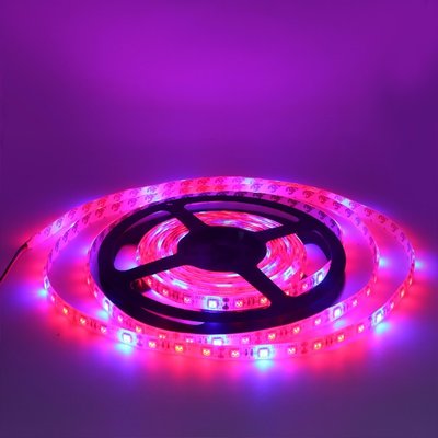 Full Spectrum Plant Grow Led Grow Lights 12V 5050 300 Led Strip