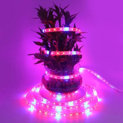 Full Spectrum Plant Grow Led Grow Lights 12V 5050 300 Led Strip