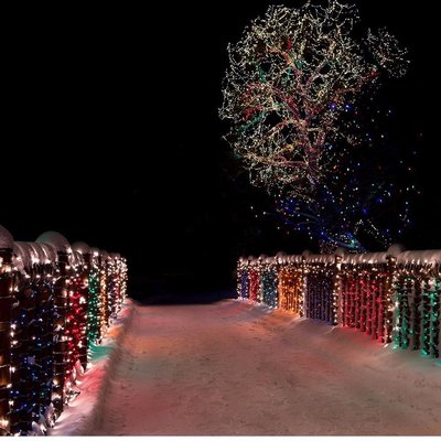 Solar Powered 200 LEDs String Fairy Tree Light Outdoor Wedding Party Xmas