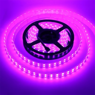 Double Row LED Strip 5050 DC12V Silicone Tube Waterproof IP67 LED flexible Light Warm white white RGB