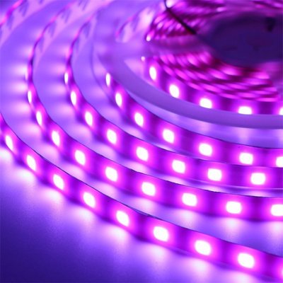 DC12V 5050SMD 60LED/M 300LEDs IP65 Epoxy Waterproof Fluorescent LED Strip Neon Strip