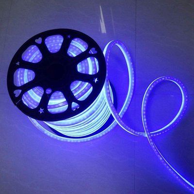 220V 240V Flexible Led Neon Flex Rope Bar Light SMD 2835 Outdoor 110V 24V