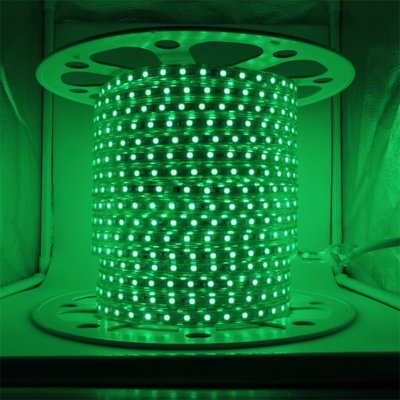 110V 220V 5050 LED Strip Waterproof IP65 RGB Single Color