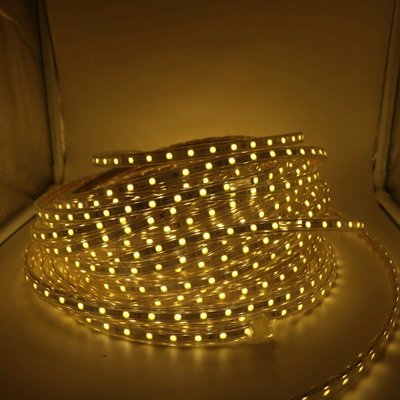 110V 220V 5050 LED Strip Waterproof IP65 RGB Single Color