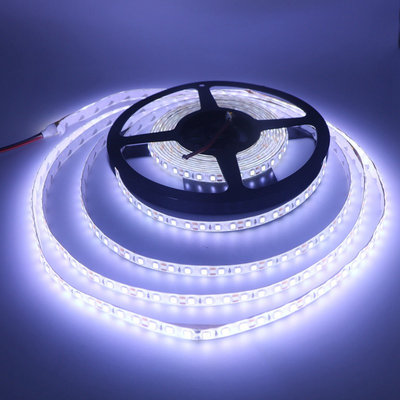 DC 12V Waterproof SMD 2835 White Warm White Red Green Blue High Lumen Flexible LED Strip with Good Quality