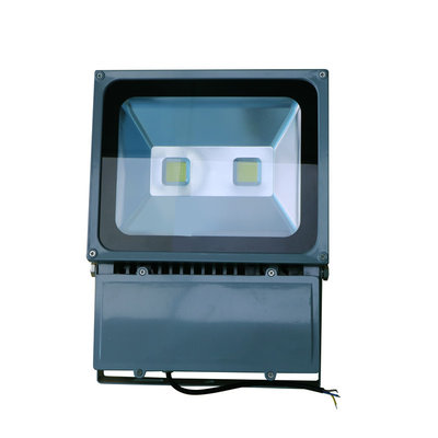 Outdoor Garden Use High Quality 100W Led Flood Light AC85-265V