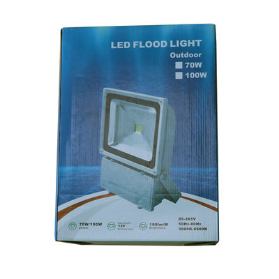 Outdoor Garden Use High Quality 100W Led Flood Light AC85-265V