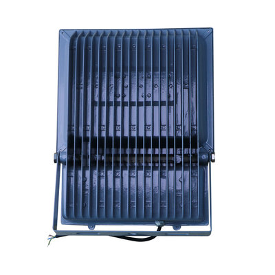 Outdoor Garden Use High Quality 100W Led Flood Light AC85-265V
