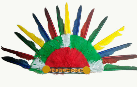 Indian headdress, ground anfield dress party outfit, feather headdress, chief hat. supplier