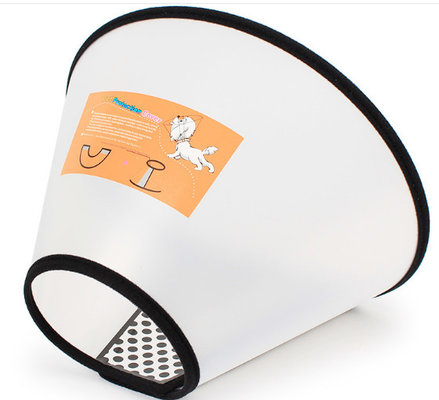 Elizabeth ucing kerah piaraan jeung anjing kageulisan topeng headgear pelindung fléksibel anti biting-ngahulag kerah supplier