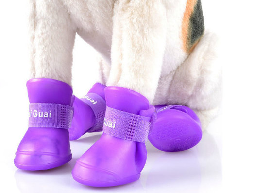 Pet supplies silicone rain boots, non-slip pet shoes, candy color fashion cute dog shoes，red,yellow,pink,black; supplier