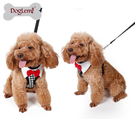 Vest puppies chest harness, fashion bow pet chest back, Teddy bear walking leash；Pet clothes customization, supplier