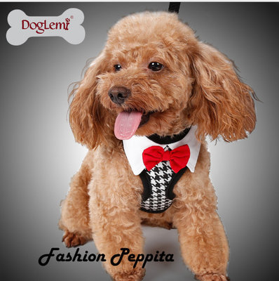 Vest puppies chest harness, fashion bow pet chest back, Teddy bear walking leash；Pet clothes customization, supplier