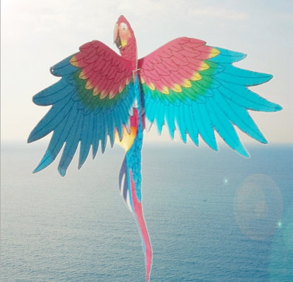 Home Furnishings Party Decoration Large Animal Simulation Paper Carving Bird Parrot Honeycomb Paper Crafts supplier