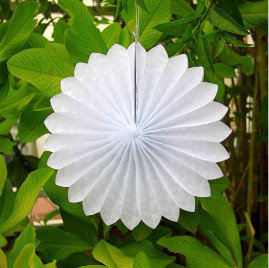 Paper folding fan wedding party decoration background paper fan flower color by pantone coloring supplier