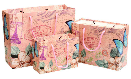 New Fashion Eiffel Tower Europe and the United States Wind Gift Bags Paper Bags Bags Bags Gift Bags Report supplier