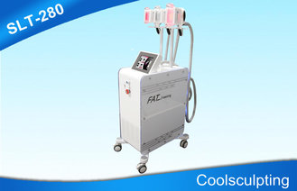 China Three Handpieces Cryolipolysis Slimming Machine / Coolsculpting Fat Freezing Equipment supplier