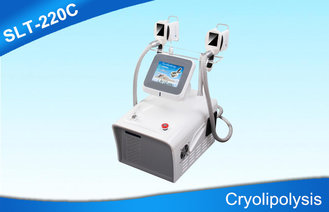 China Double Handles Cryolipolysis Slimming Machine For Body Sculpting / Fat Removal supplier