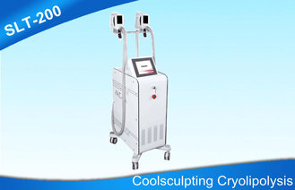 China Coolshape Cryolipolysis Fat Reduction Equipment , Cryotherapy Body Sculpting Machine supplier