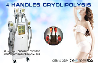 China Four Handles Cryolipolysis Slimming Machine / Coolsculpting Fat Freezing Salon Equipment supplier