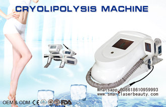 China Portable Cryolipolysis Slimming Machine , Mini Cryotherapy Fat Freezing Device supplier