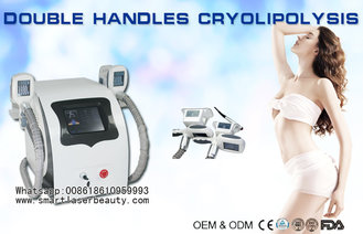 China Two Handles Cryolipolysis Slimming Machine , Coolsculpting Fat Removal Weight Loss supplier