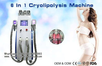 China Multifunction Cryolipolysis Slimming Machine With Cavitation / Radio Frequency / Lipo Laser supplier