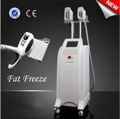 China Vertical Zeltiq Cool Sculpting Body Slimming Machine With Two Cryolipolysis Handles supplier