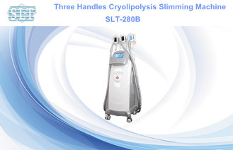 China Fat Freezing Zeltiq Coolsculpting Machine Cryolipolysis For Weight Loss supplier