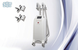 China Cool Sculpting Cryolipolysis Fat Removal Machine For Body Contouring / Weight Loss supplier