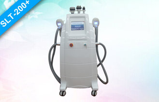 China Cool Sculpting Cryolipolysis Fat Freezing Equipment / Ultrasonic Cavitation RF Slimming Machine supplier